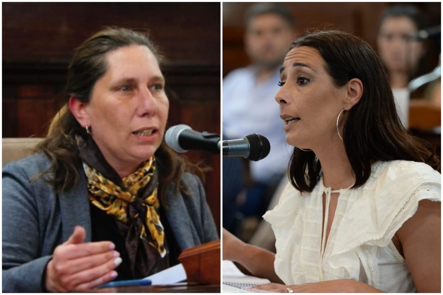 La Plata: Una concejal radical se refirió a Cristina como La Plata: Una concejal radical se refirió a Cristina como