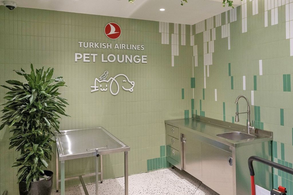 Turkish Airlines Introduces Pet Lounge at Istanbul Airport, Enhancing ...