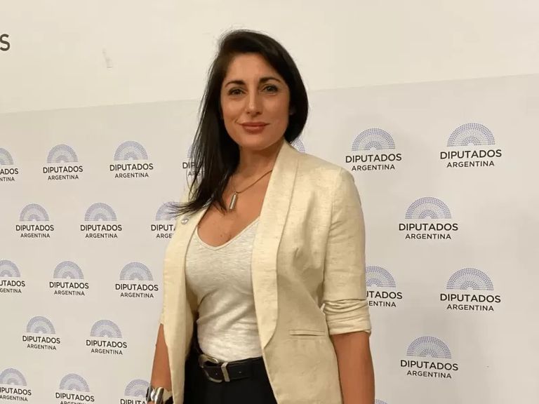La diputada Santillán defendió la designación de García Mansilla y Lijo ...