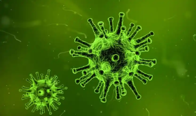 #Coronavirus 2 de junio: 35.017 nuevos casos y 587 muertes reportadas ...