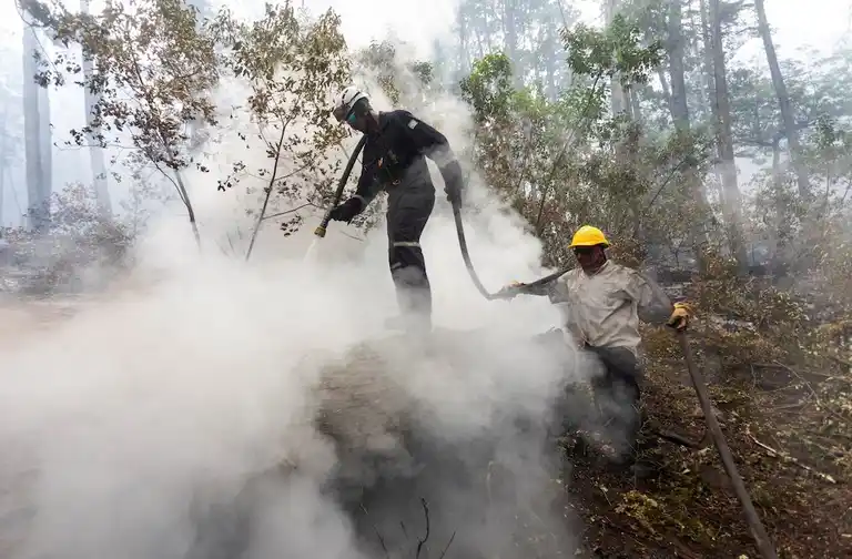 Incendios forestales en Chubut: se reactivó un importante foco en una ...