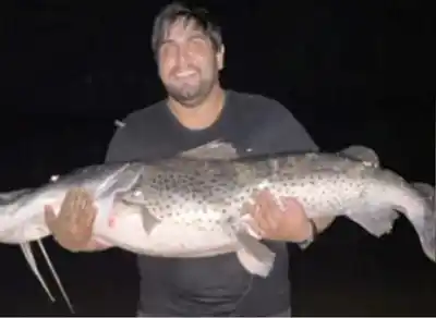 Pescaron un surubí de 40 kilos en el Río Uruguay – El Día de Gualeguaychú