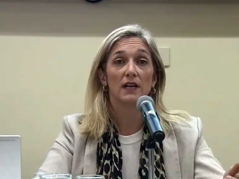 Una entrerriana integrará la misión de la ONU que investiga crímenes de ...