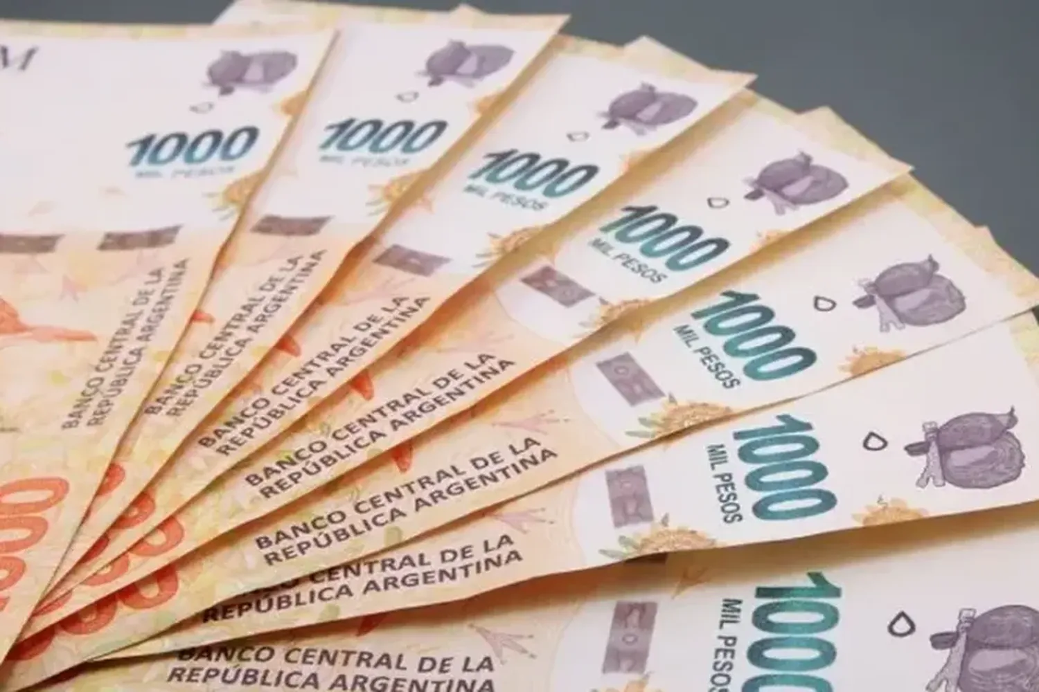 Plazo Fijo Tradicional Vs Plazo Fijo Uva Cuál Es La Mejor Opción Para