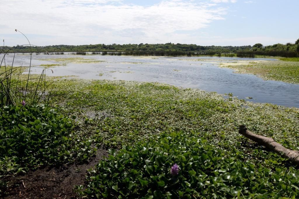 ACETRA logró la personería jurídica, una herramienta para lograr una ...