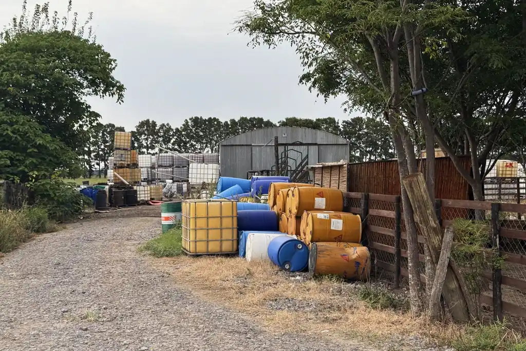 Las últimas noticias de San Pedro | La Opinión Semanario