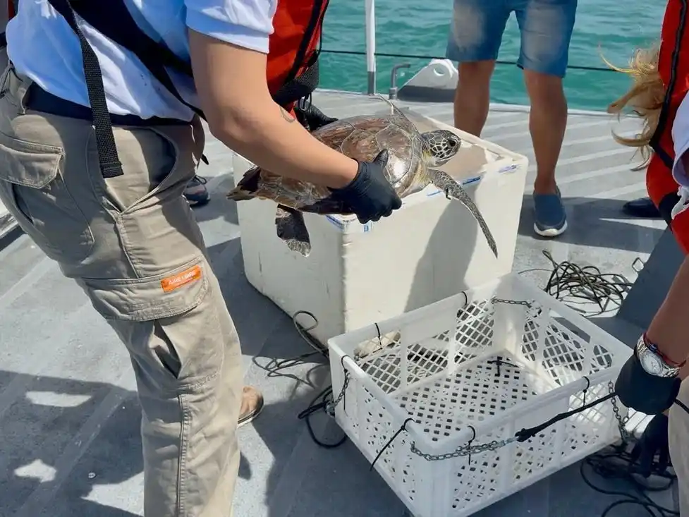 El Marplatense | Mi lugar. Mis contenidos.