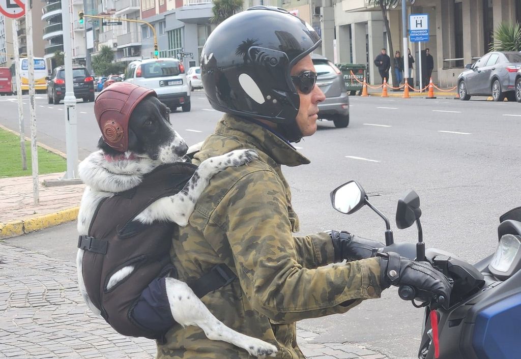 Mar del Plata: pasea con su perro en distintas motos y se volvió viral