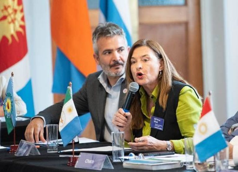 Estela Díaz exige que se convoque a nueva sesión del Consejo Federal de ...