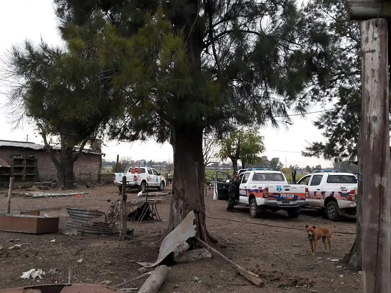 Merlo: Detienen a delincuentes expertos en cuatrerismo y secuestran 59 ...